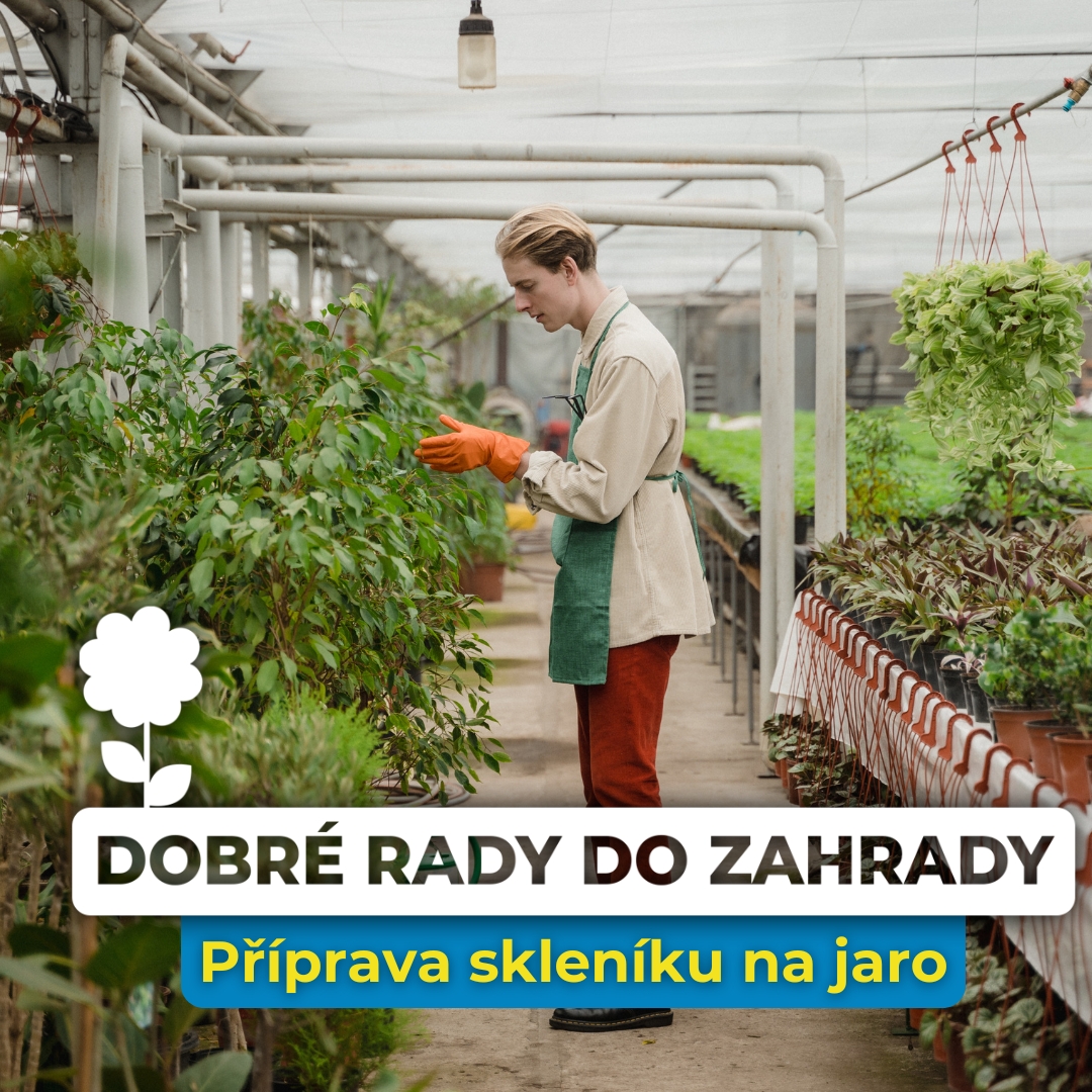 Jak připravit skleník na jaro: Dezinfekce, hnojení a boj se škůdci snadno a rychle! | Aktuálně ...