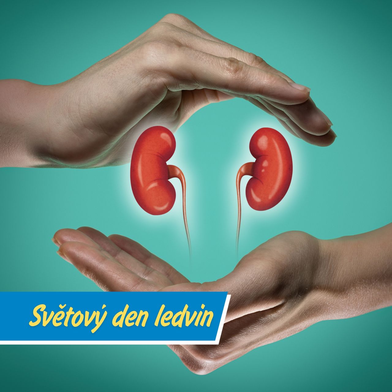 Světový den ledvin 2025: Prevence a osvěta na prvním místě | Aktuálně ...