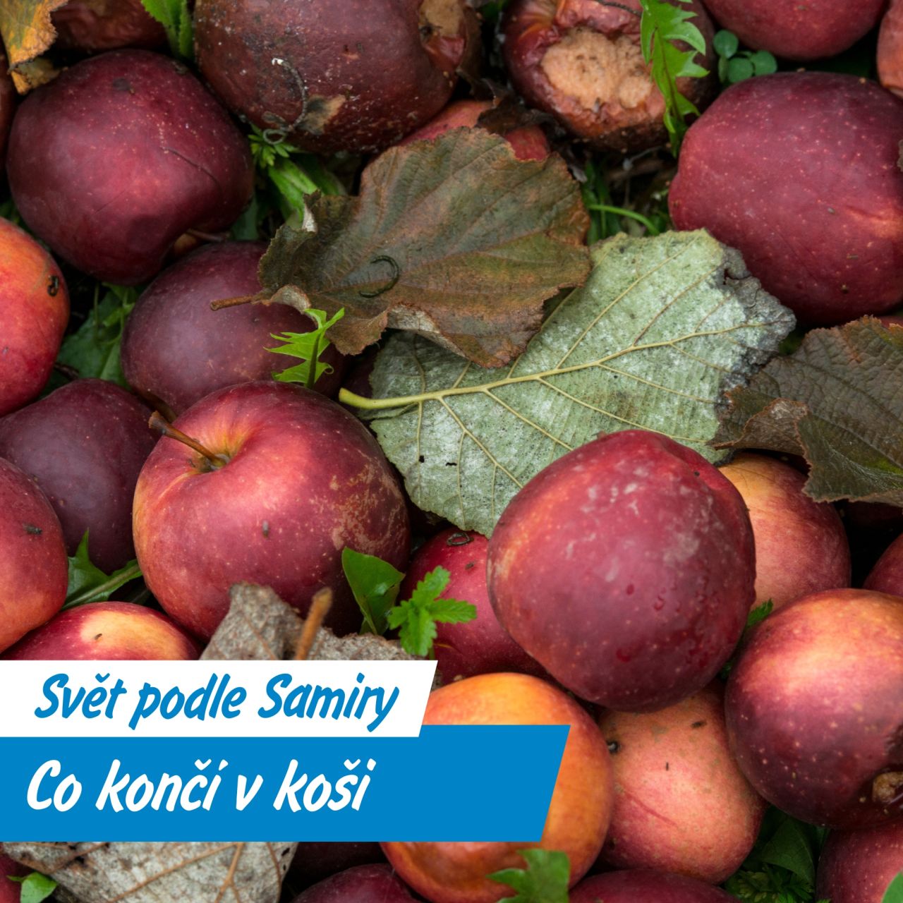 Plýtváme jídlem a končí to na skládce | Aktuálně | Rádio BLANÍK